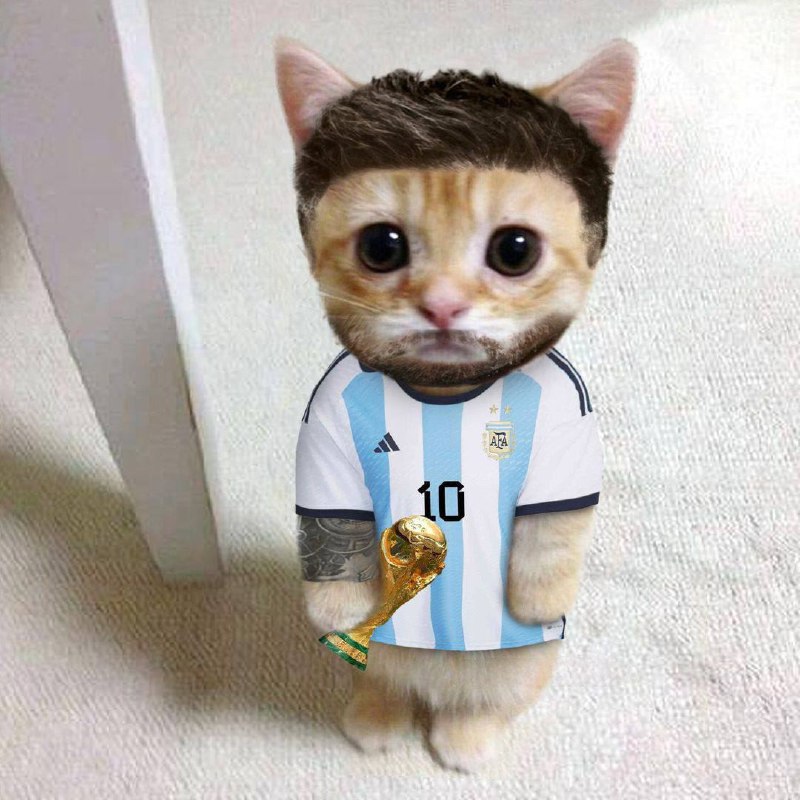 $elgato - the internet famous standing cat